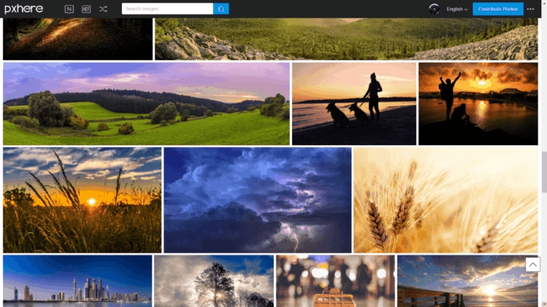Free Blog Images: 9 Best Sites To Grab Beautiful Stock Images