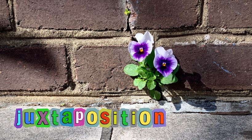 28 Juxtaposition Examples + How To Use It Effectively When Writing