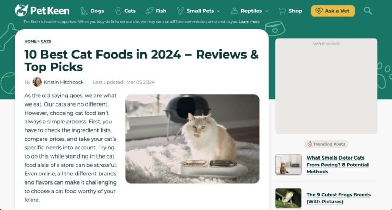 18 Blog Post Examples To Drive More Engagement